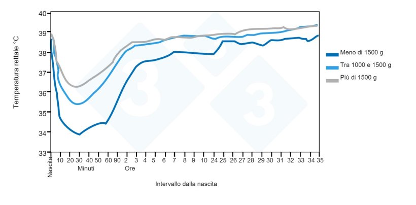 Effetto di asciugatura e calore supplementare ai suinetti al parto ...